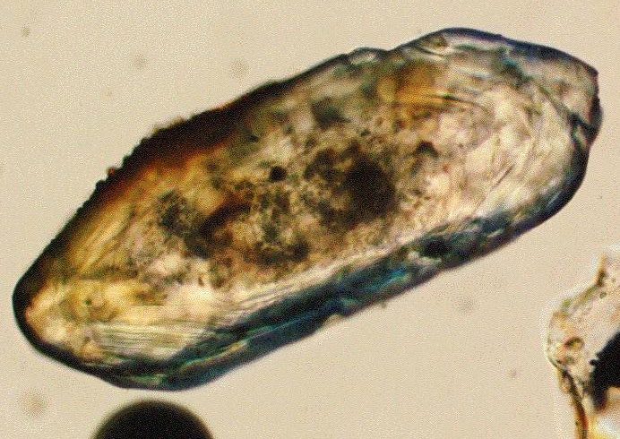 Zircon_microscope | Geoviden