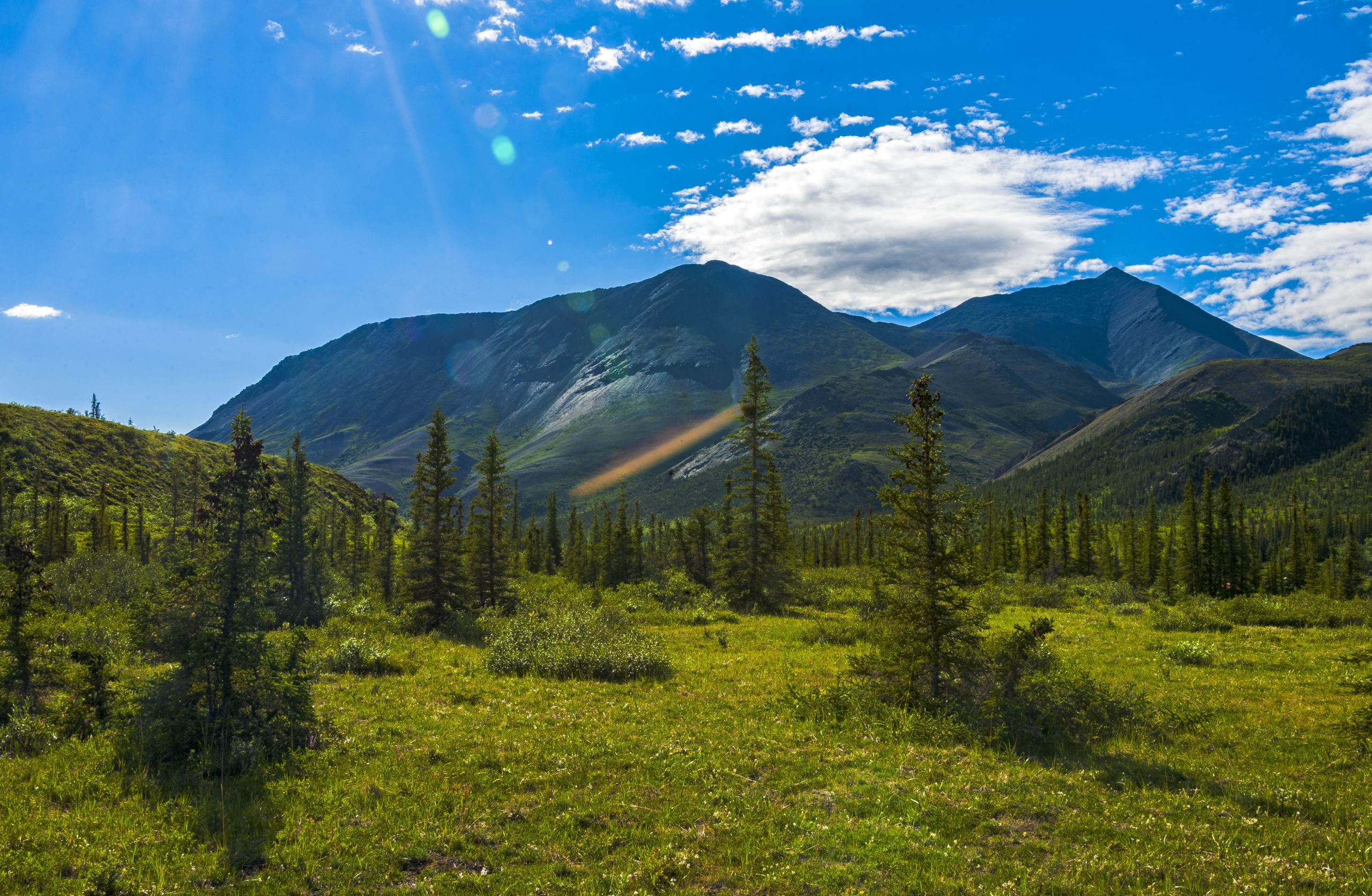Tundra_landscape_with_trees,_clouds,_mountains_and_lens_flare,_Ivvavik ...