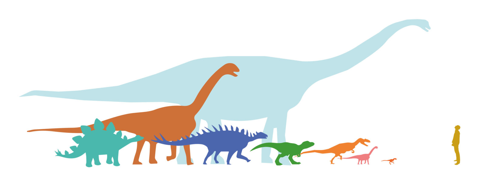 Tets_Jonas Hamilton Dino_lineup_3200 | Geoviden