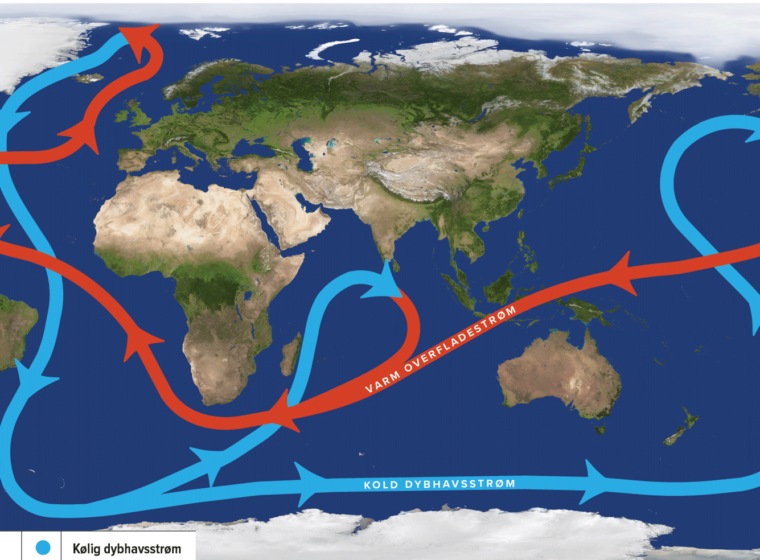 oceanografi | Geoviden