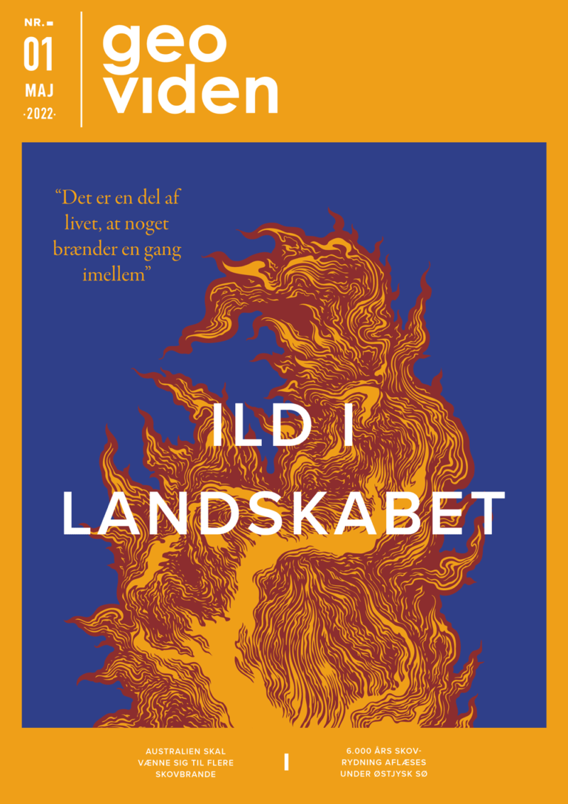 Det vidste du måske ikke om ild | Geoviden