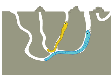 sandorm-2 | Geoviden