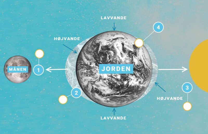 Dyk ned i detaljen: Sådan fungerer tidevand | Geoviden